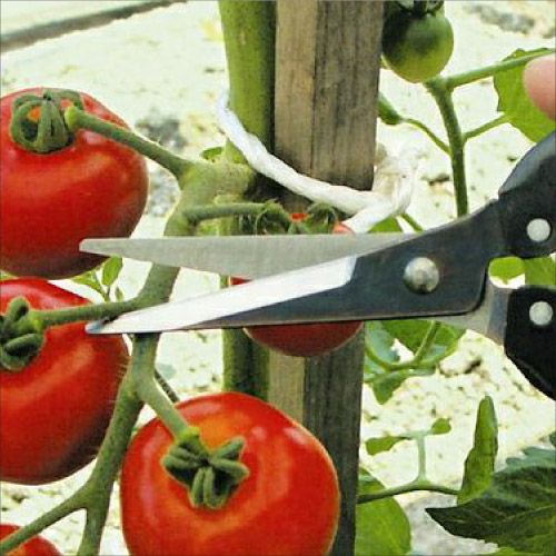 摘果鋏エクストラロングタイプステンレス 300LL-DX-BP｜アルス《公式》園芸刃物ショップ